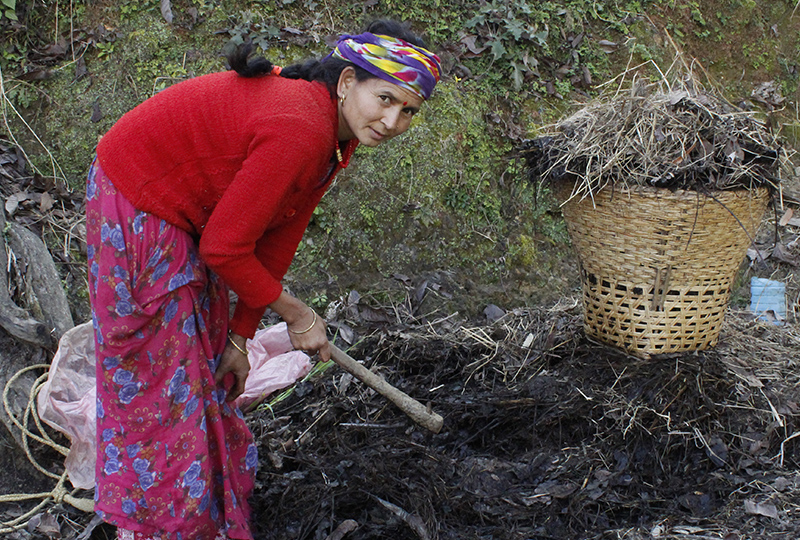 Environment, Climate Change & Disaster Risk Reduction – United Mission ...