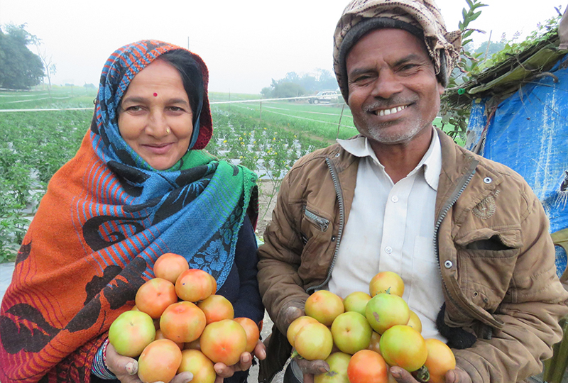 Resilient Livelihoods – United Mission to Nepal