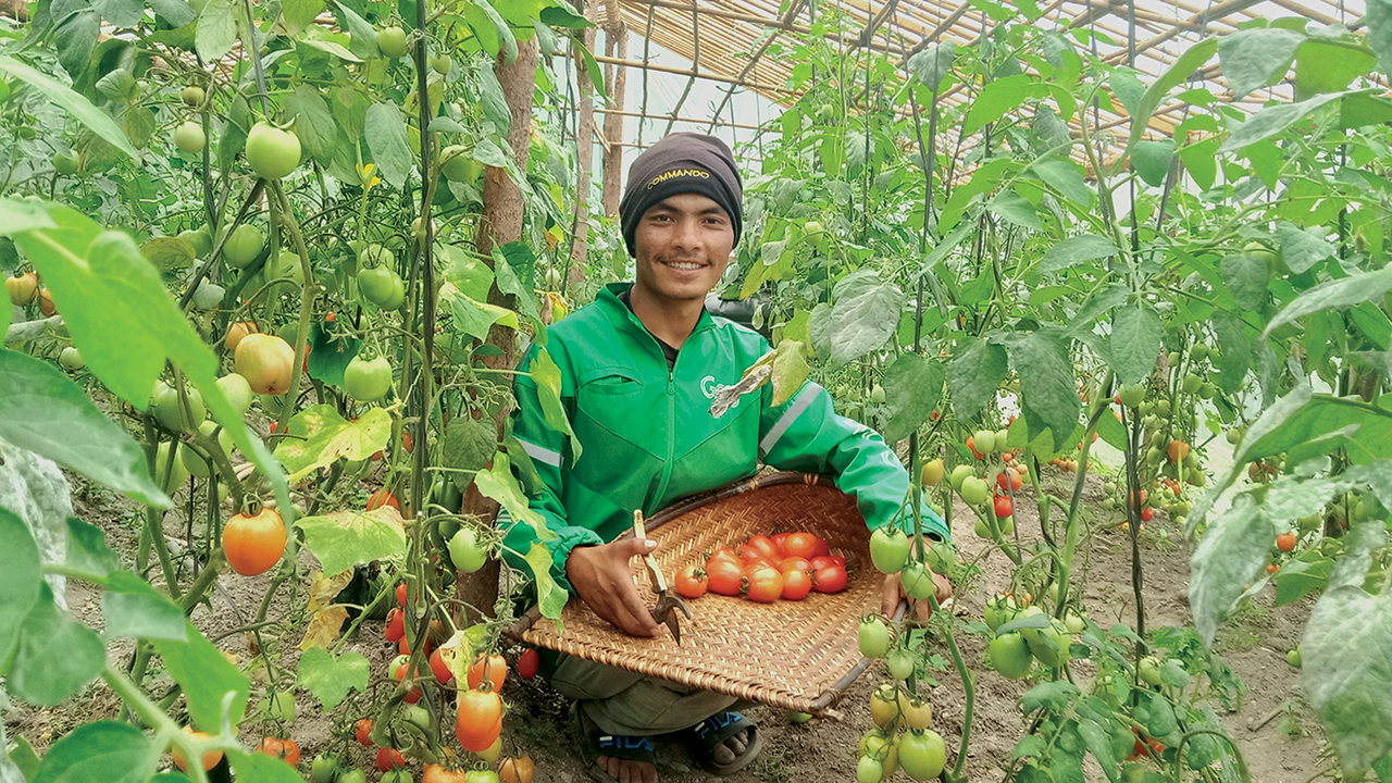 Exemplary agro farmers – United Mission to Nepal